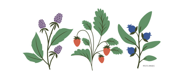 The Summer Berries Collection – ShopHazelmade