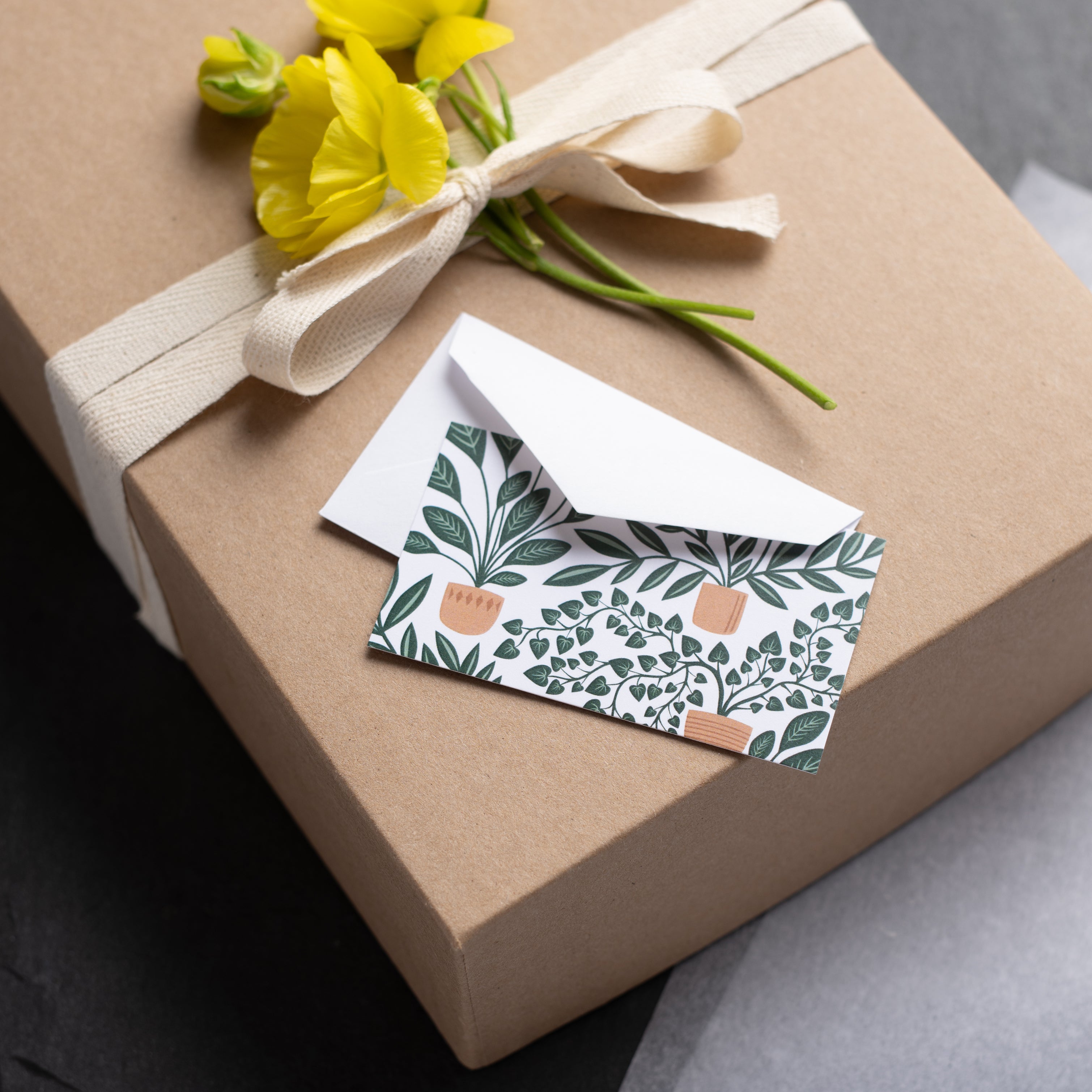 Houseplants Mini Note Set Shophazelmade